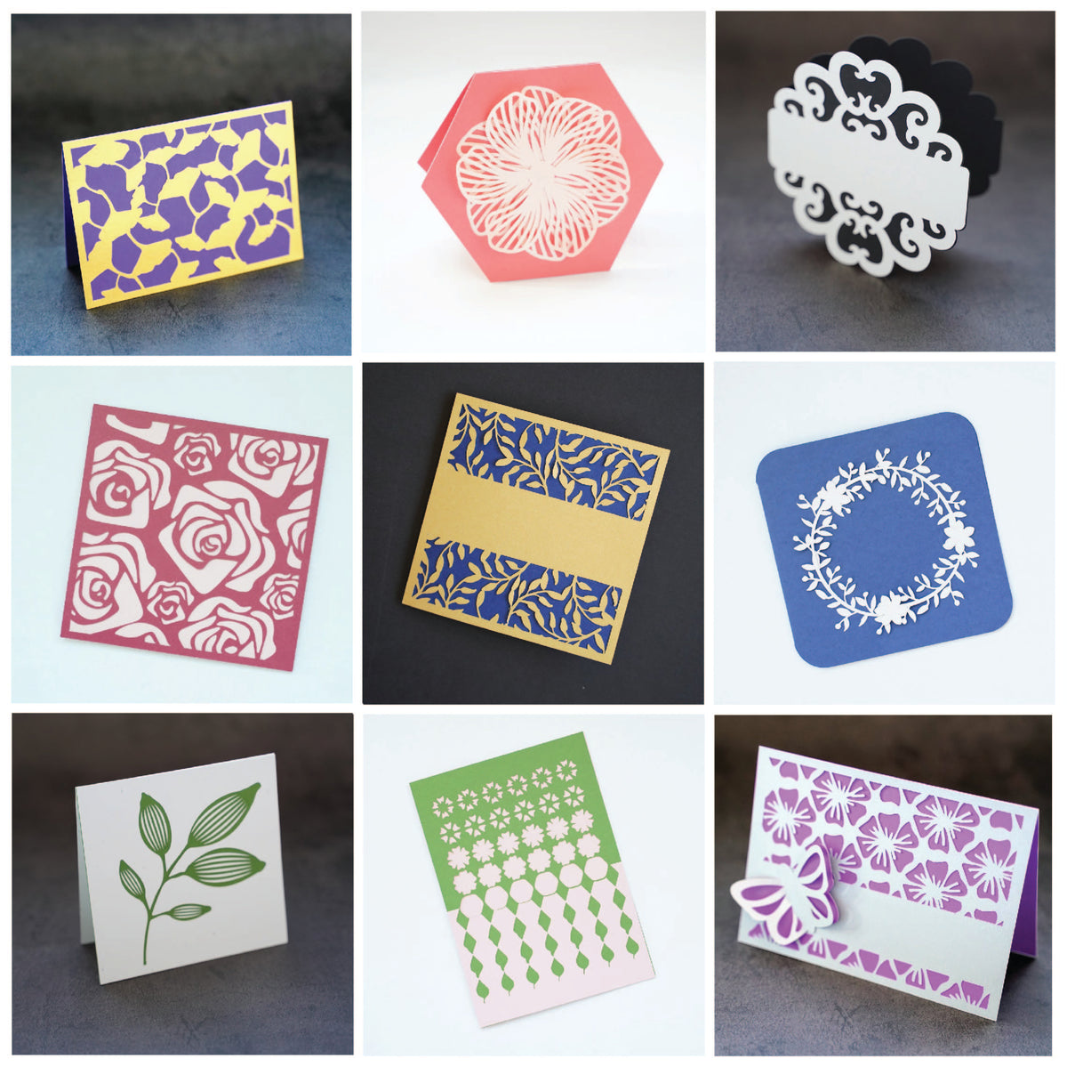 Domestic Heights Cards – DOMESTIC HEIGHTS