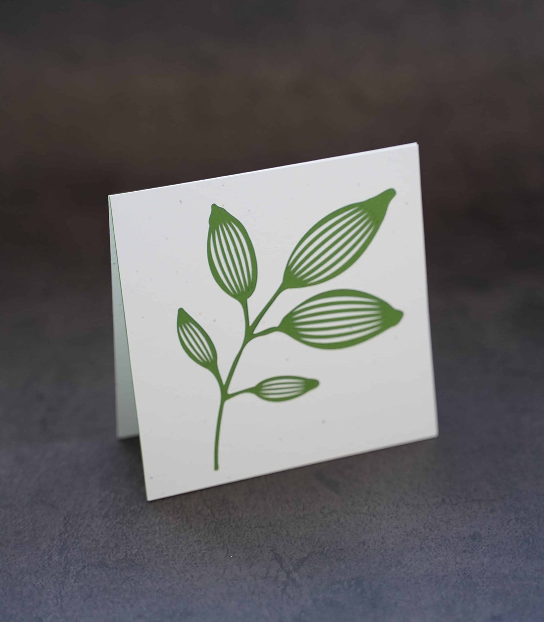 Domestic Heights Cards – DOMESTIC HEIGHTS